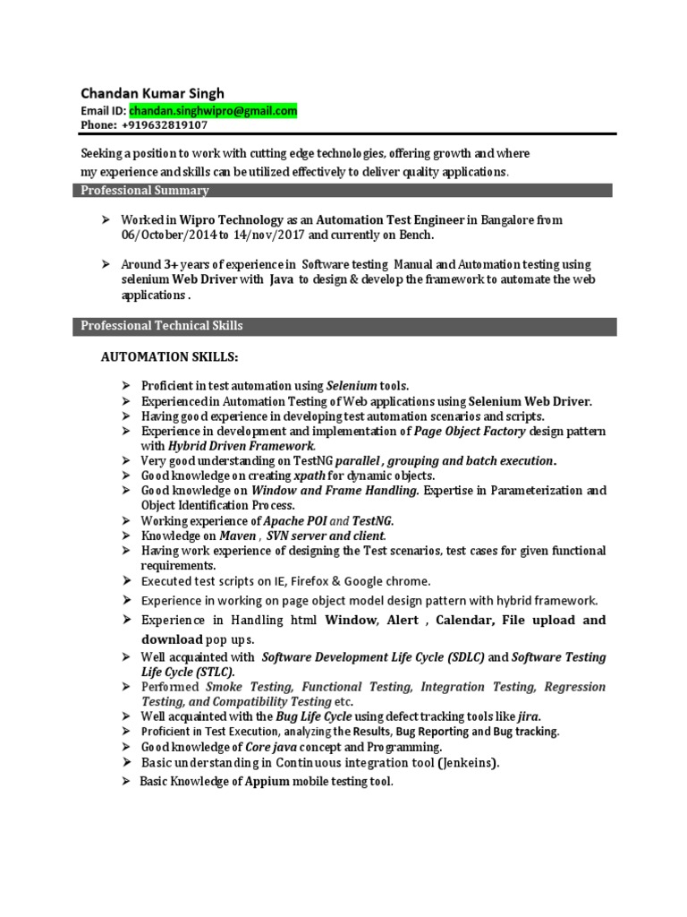 Chandan Kumar Singh: Professional Summary | PDF | Selenium (Software) | Customer Relationship ...