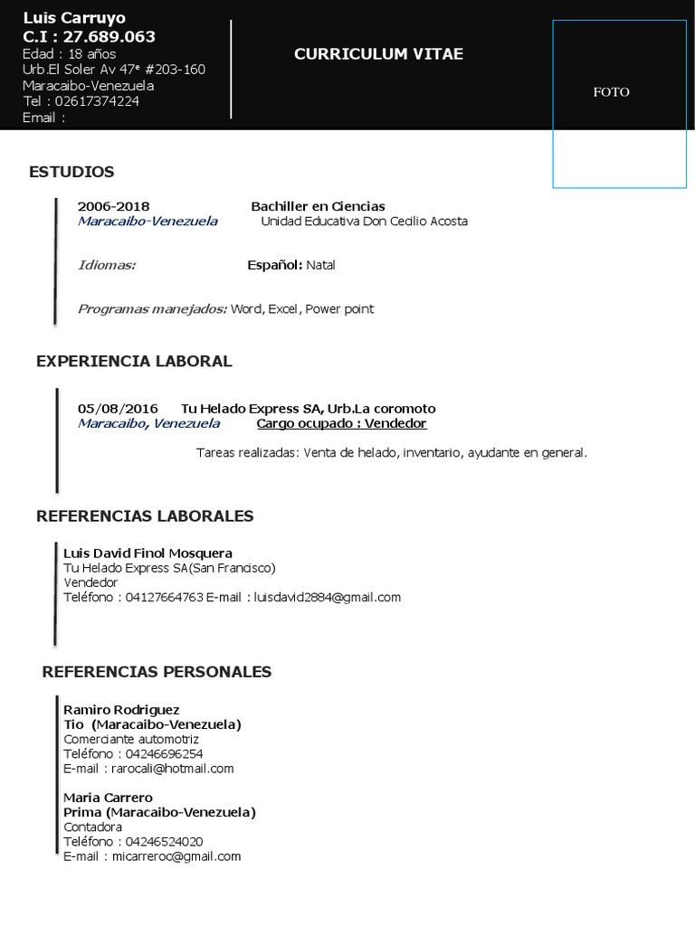 Curriculum Vitae LUIS DANIEL | PDF