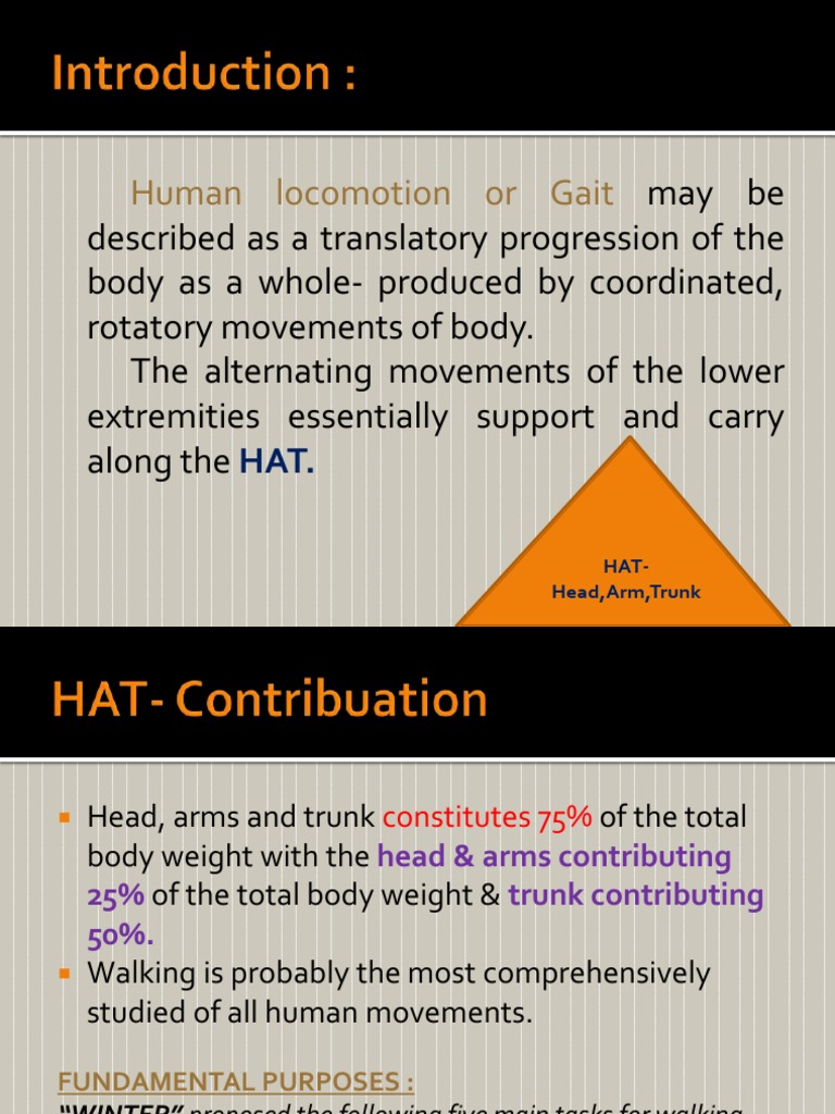Human Locomotion or Gait: Hat-Head, Arm, Trunk | PDF | Elbow | Human Leg