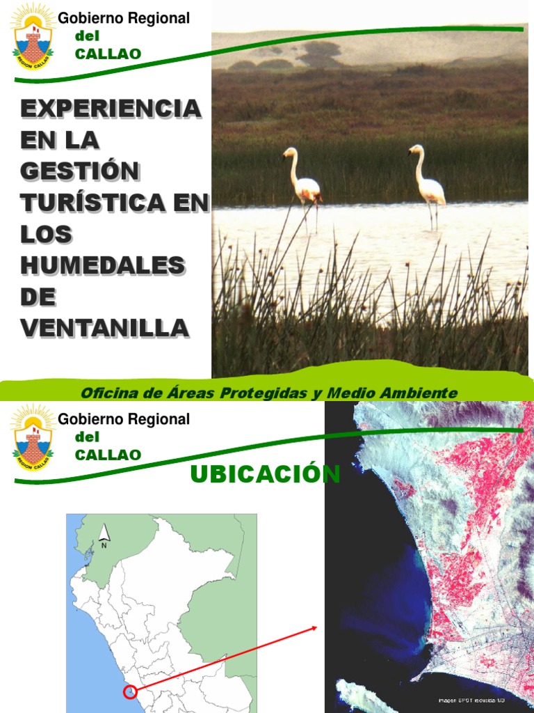 Humedales de Ventanilla | Turismo | Desarrollo sostenible