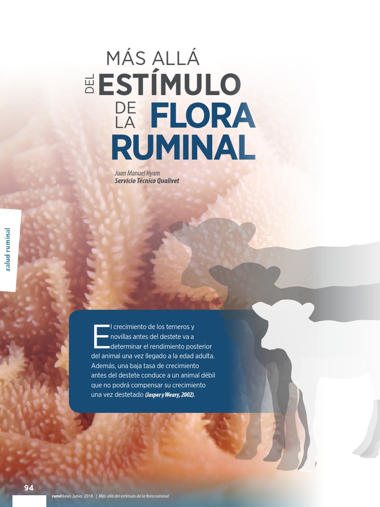 Flora Ruminal PDF | PDF | Rumiante | Vacas