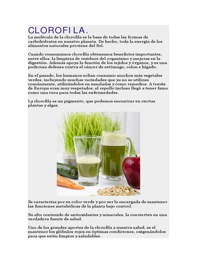 Beneficios y usos de la clorofila | PDF | Plantas | Clorofila