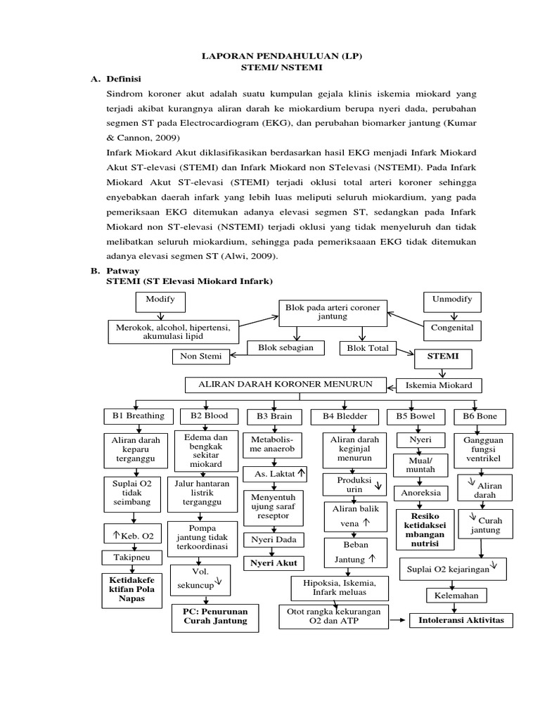 Algoritma Diagnostik NSTEMI | PDF