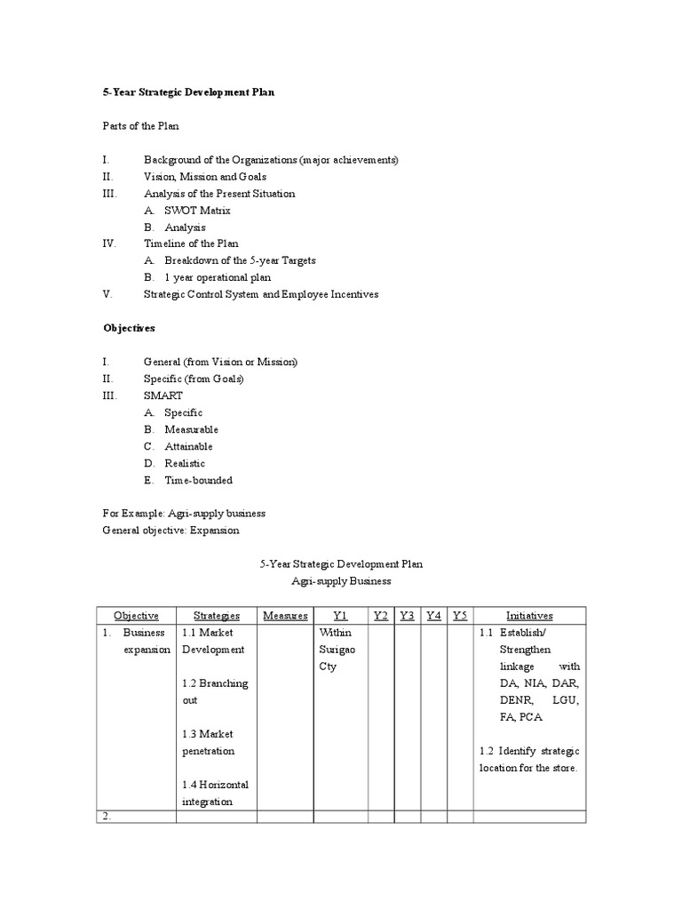 5-Year Development Plan Guide | PDF