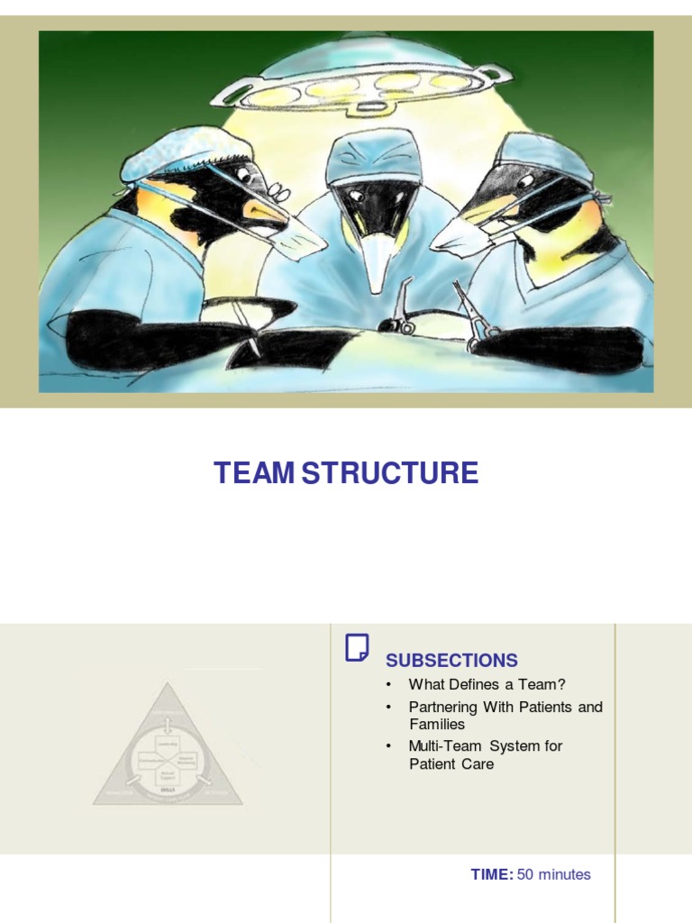 Understanding Team Structure: Defining Teams, Partnering with Patients ...