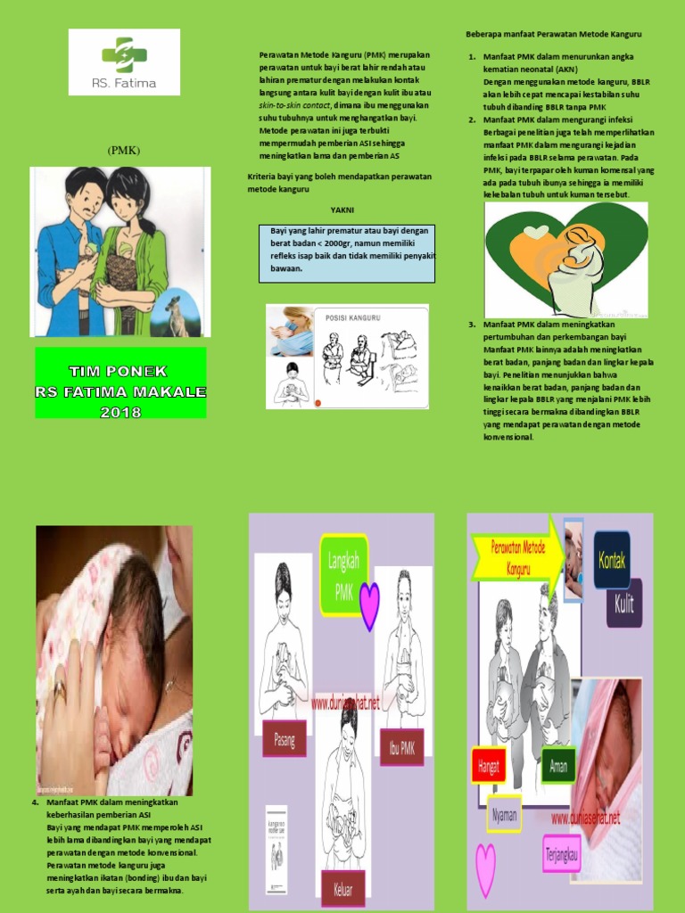 Leaflet PMK | PDF
