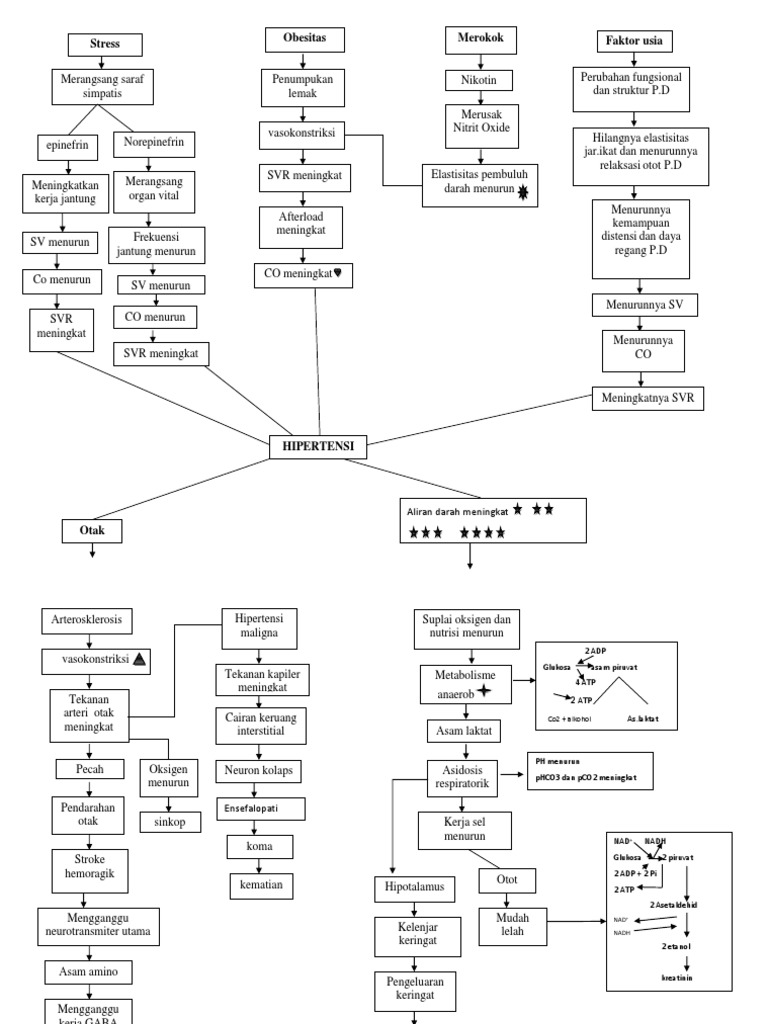 Pathway Hipertensi | PDF