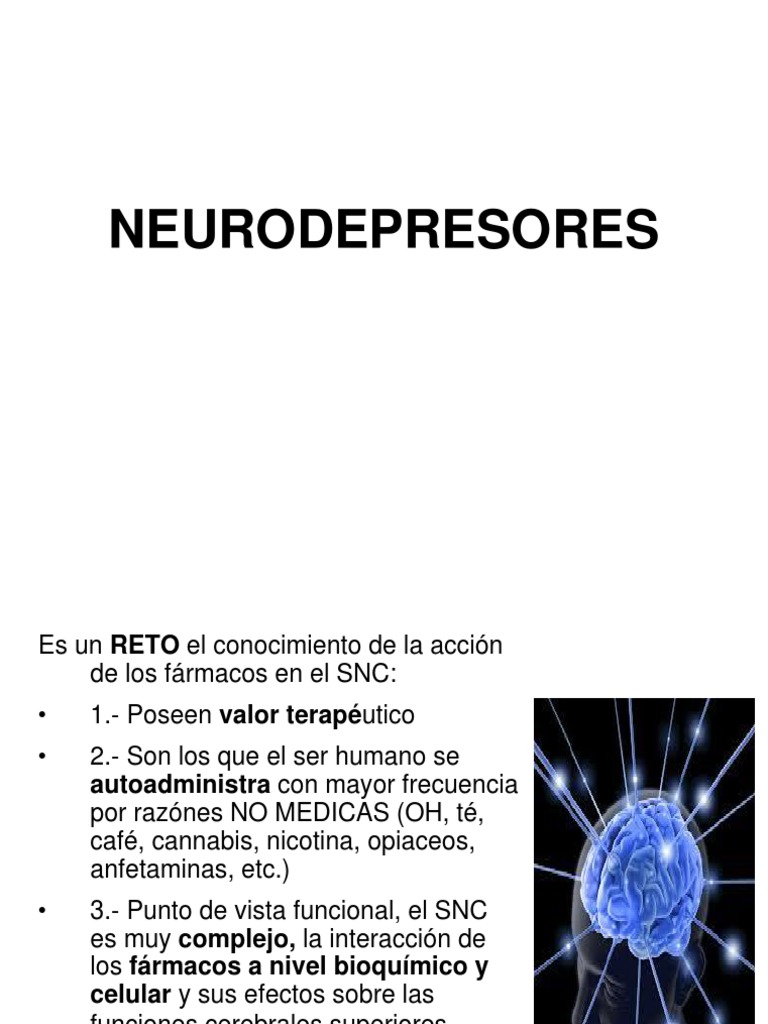 Neurode Pre Sores | PDF | Ácido gamma-aminobutírico | Sinapsis