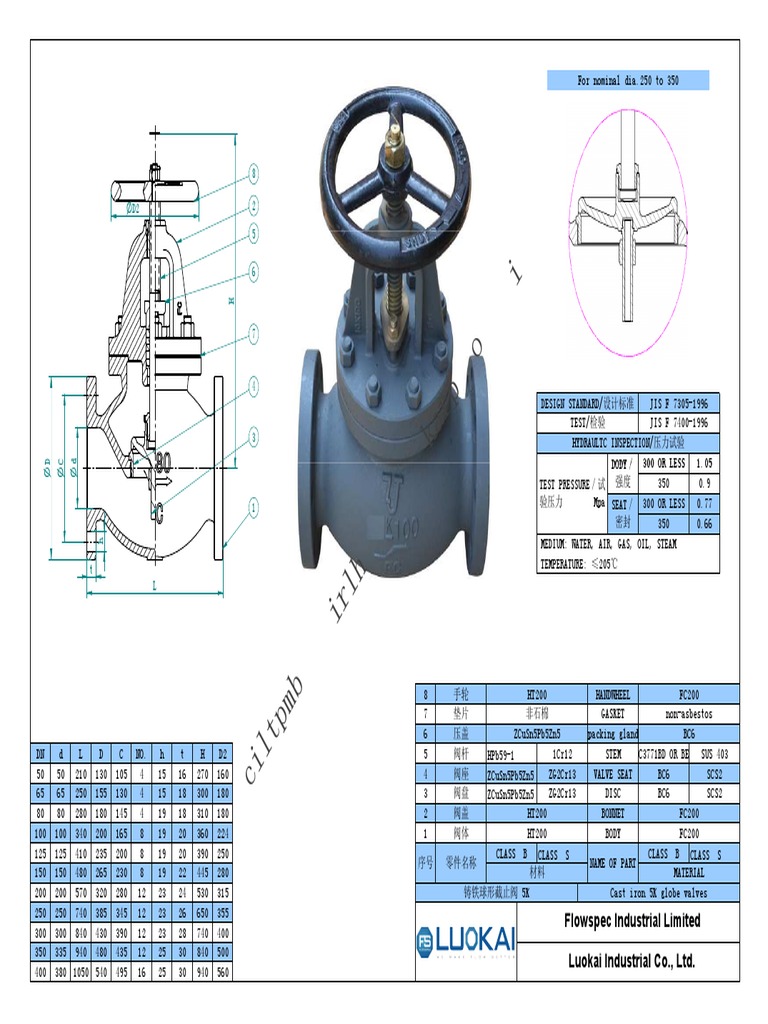 JIS F7305 Cast Iron Globe Valve Signed | PDF