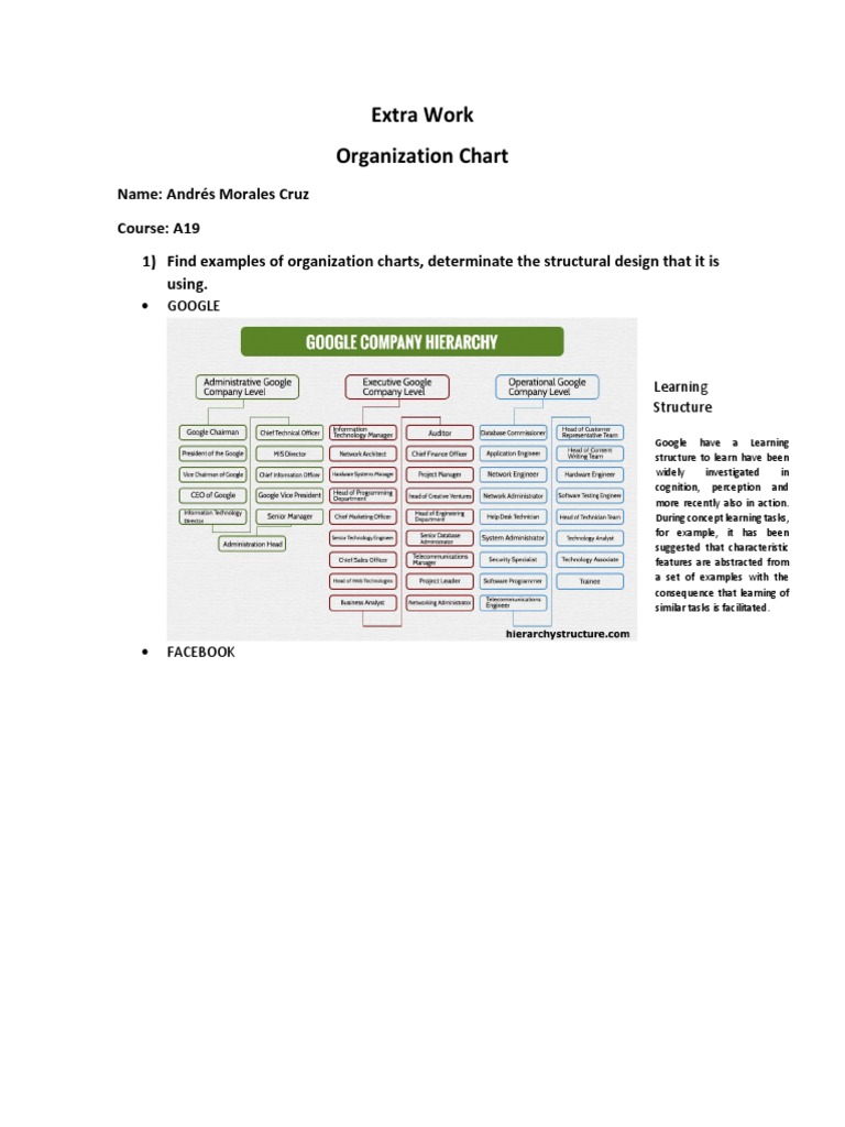 Organization Chart | PDF | Concept | Learning