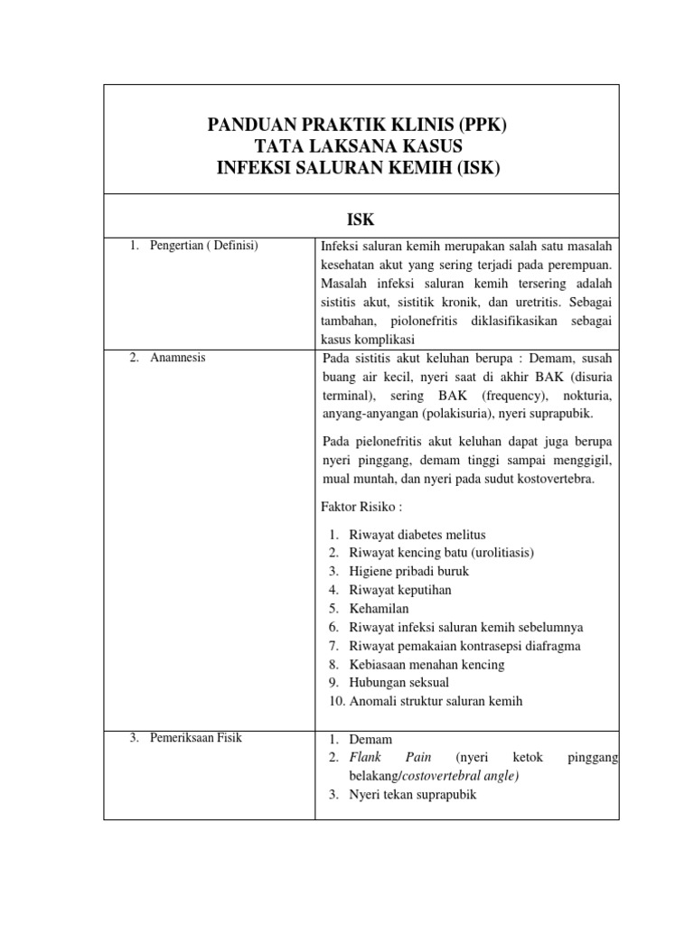 Panduan Praktik Klinis Isk | PDF