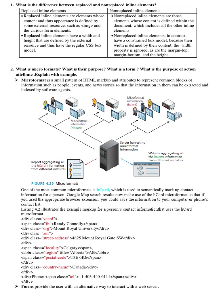 Web Css Notes | Download Free PDF | Html Element | Dynamic Web Page
