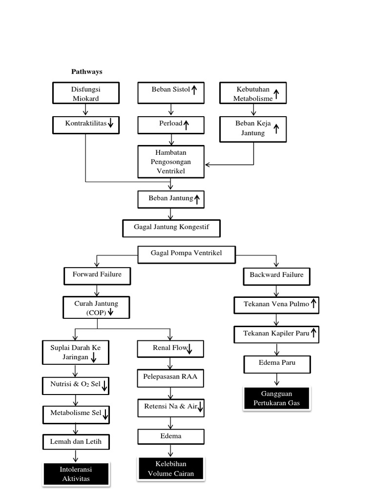 Pathways CHF | PDF | Endocrine System | Circulatory System