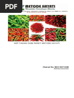 Panduan Budidaya Cabai Rawit Komprehensif | PDF