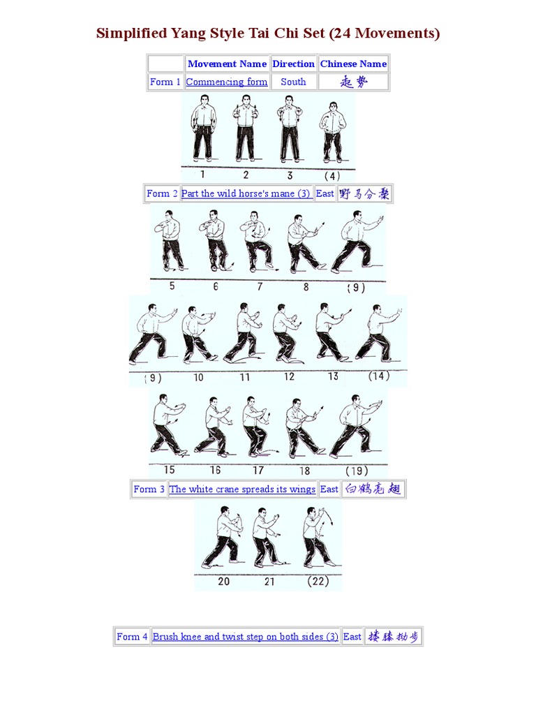 Simplified Yang Style Tai Chi Set 1 | PDF | Tai Chi | Traditional ...