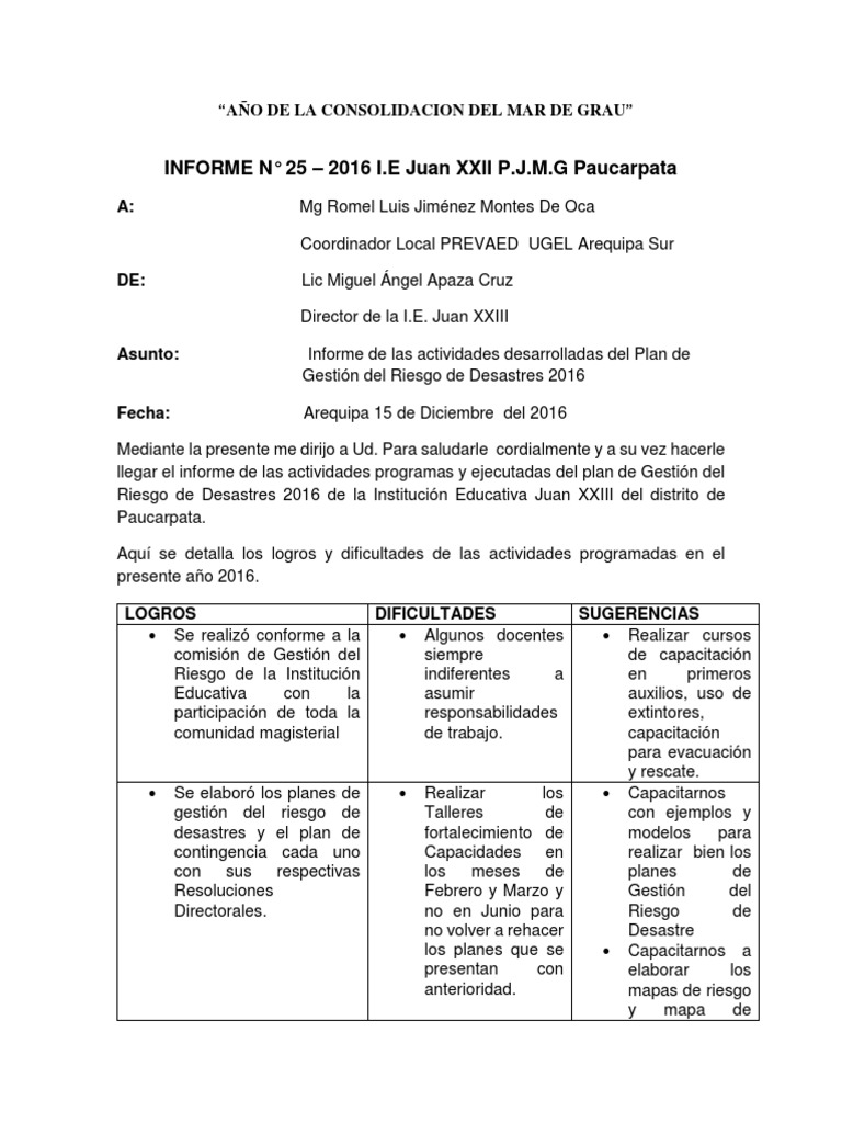 Informe Sinager | PDF