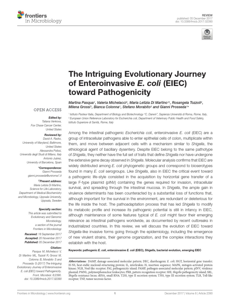 The Intriguing Evolutionary Journey of Enteroinvasive E. Coli (EIEC ...