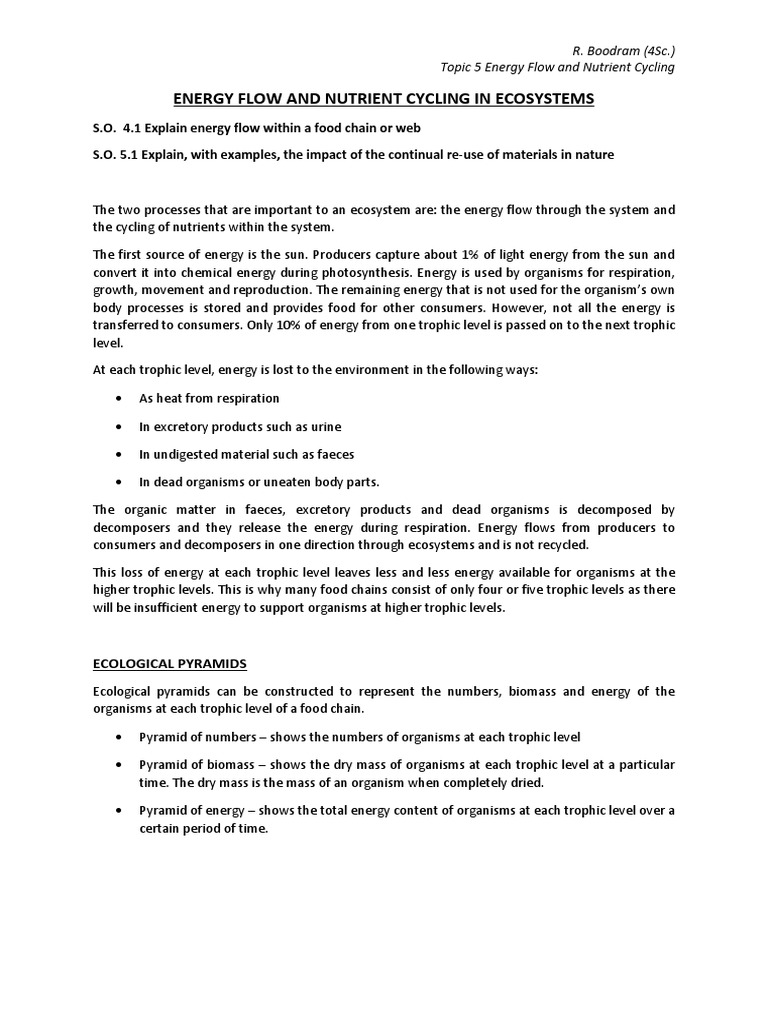 Topic 5 - Energy Flow and Nutrient Cycling | PDF | Food Web | Ecosystem