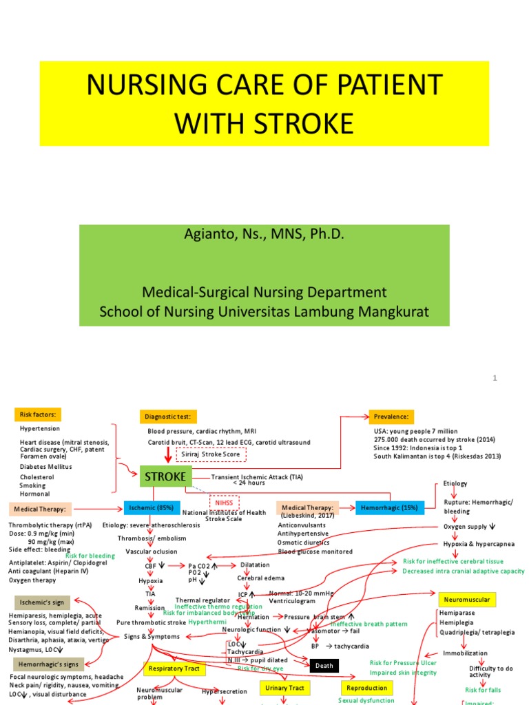Nursing Care of Stroke - New | PDF | Stroke | Medical Specialties