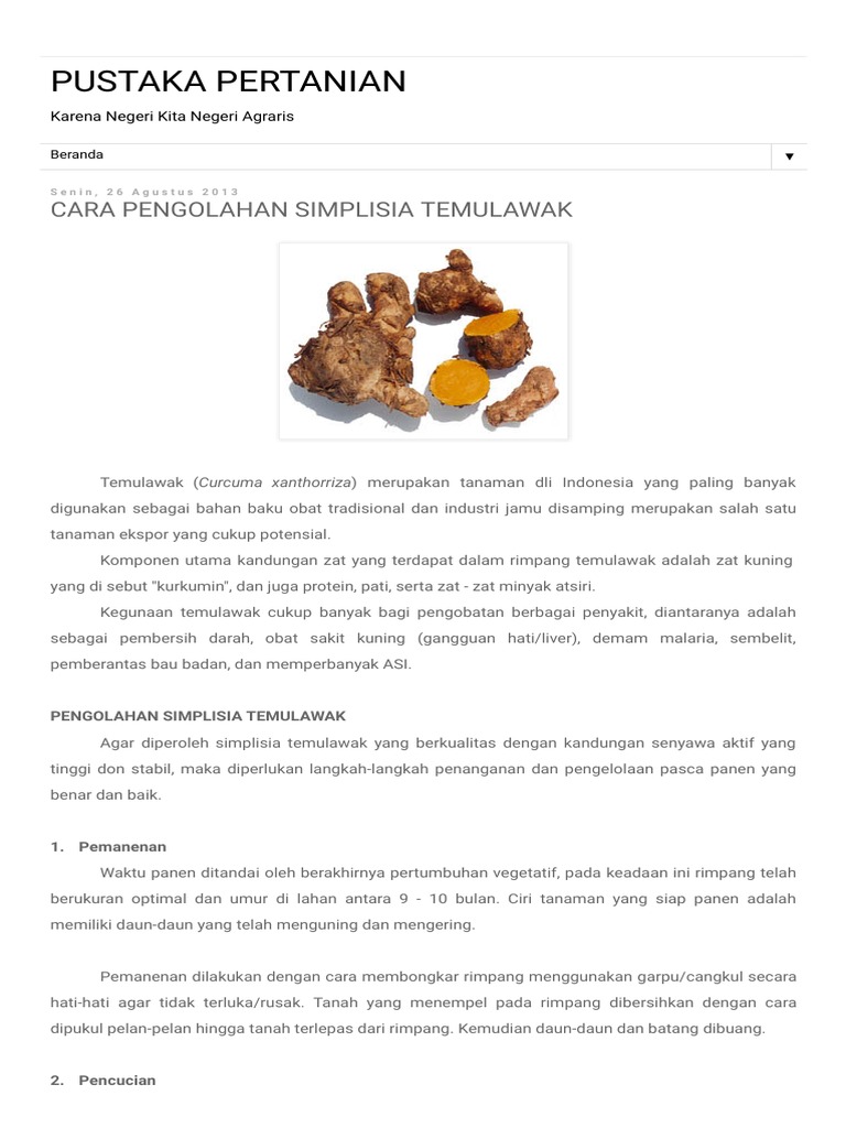 Pustaka Pertanian - Cara Pengolahan Simplisia Temulawak | PDF
