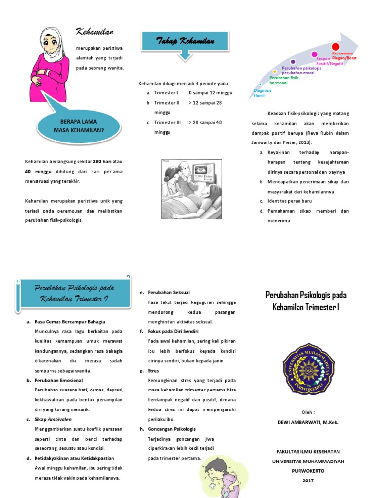 Perubahan Psikologis Ibu Hamil Trimester I | PDF