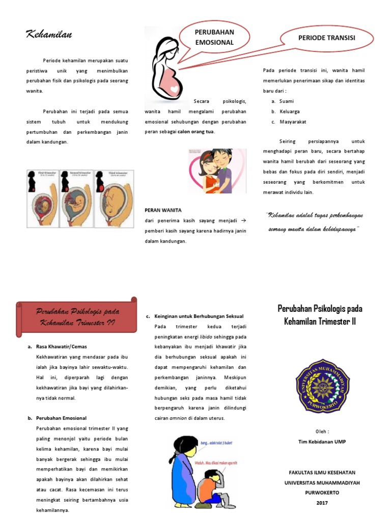 Perubahan Psikologis Ibu Hamil Trimester 2 | PDF