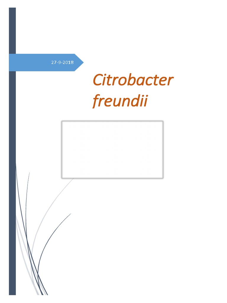 Citrobacter Freundii | PDF | Fagocito | Sistema complementario