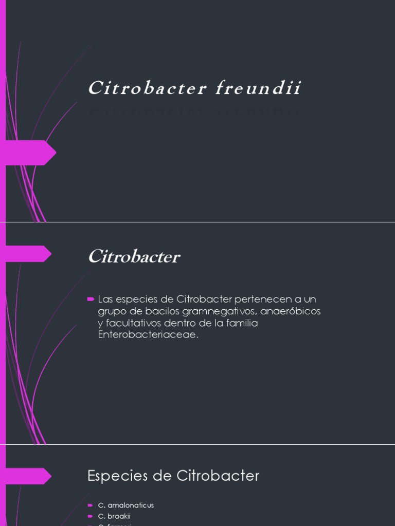 Citrobacter freundii: Patología y Tratamiento | PDF | Especialidades ...