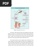 Definisi, Etiologi, Klasifikasi, Patofisiologi DHF | PDF | Kesehatan ...