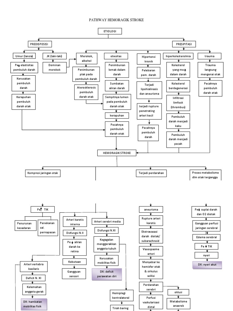 Pathway Hemoragik Stroke | PDF