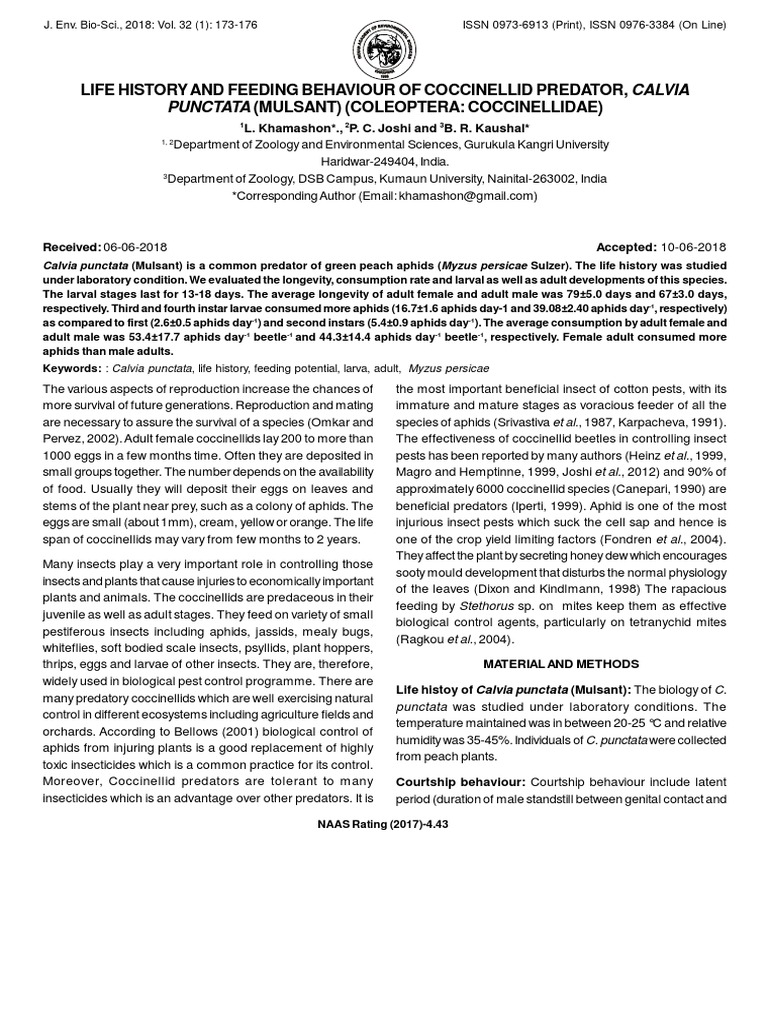 Punctata (Mulsant) (Coleoptera: Coccinellidae) : Life History and ...