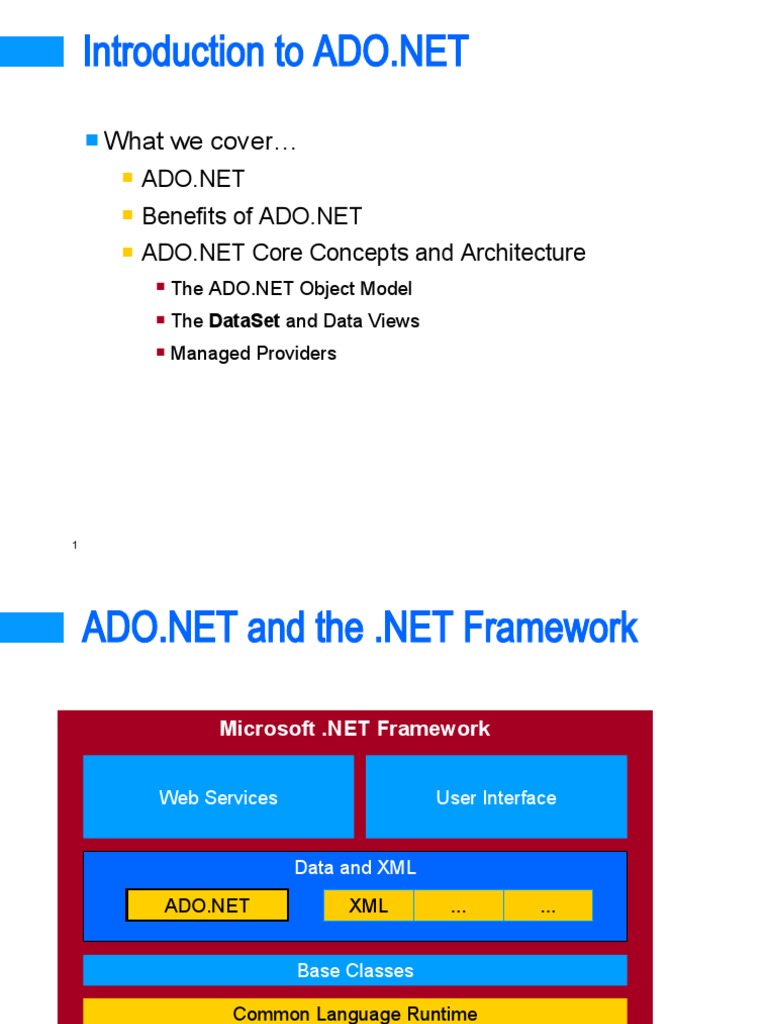 What We Cover The Dataset And Data Views Managed Providers Pdf