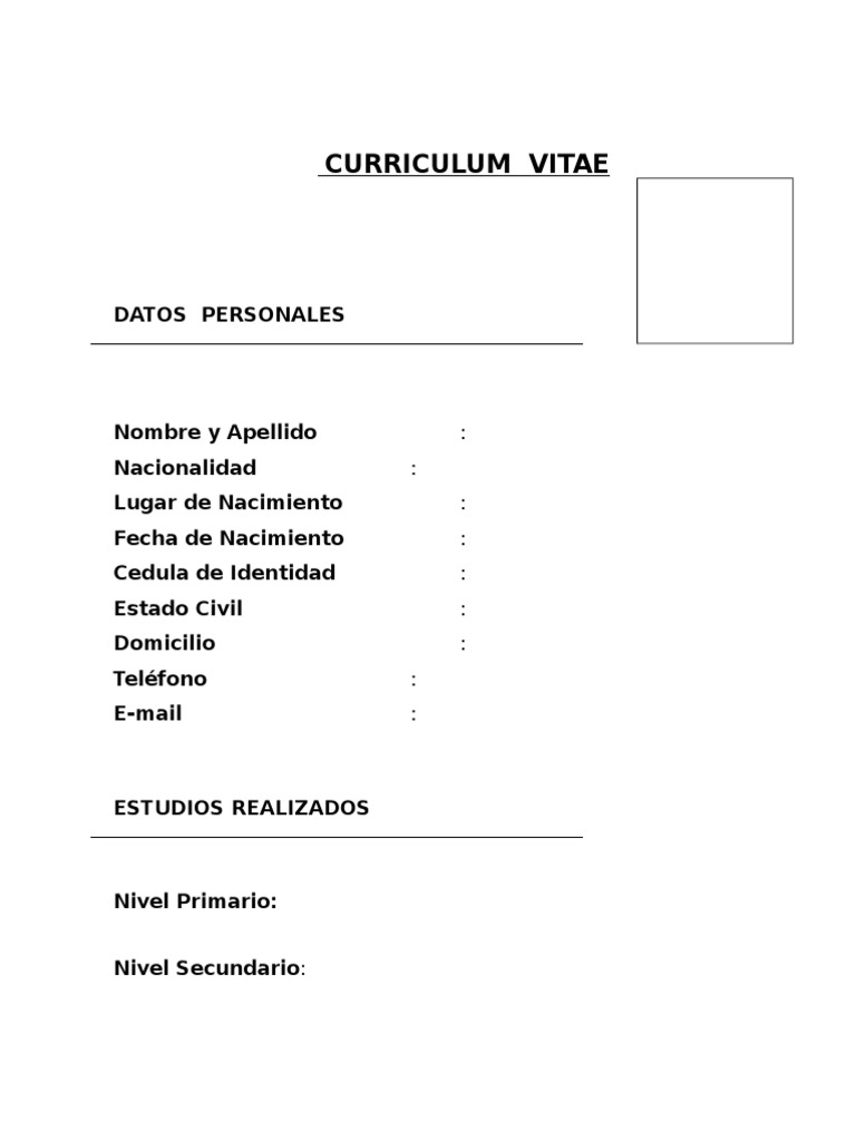 Curriculum para Llenar | PDF