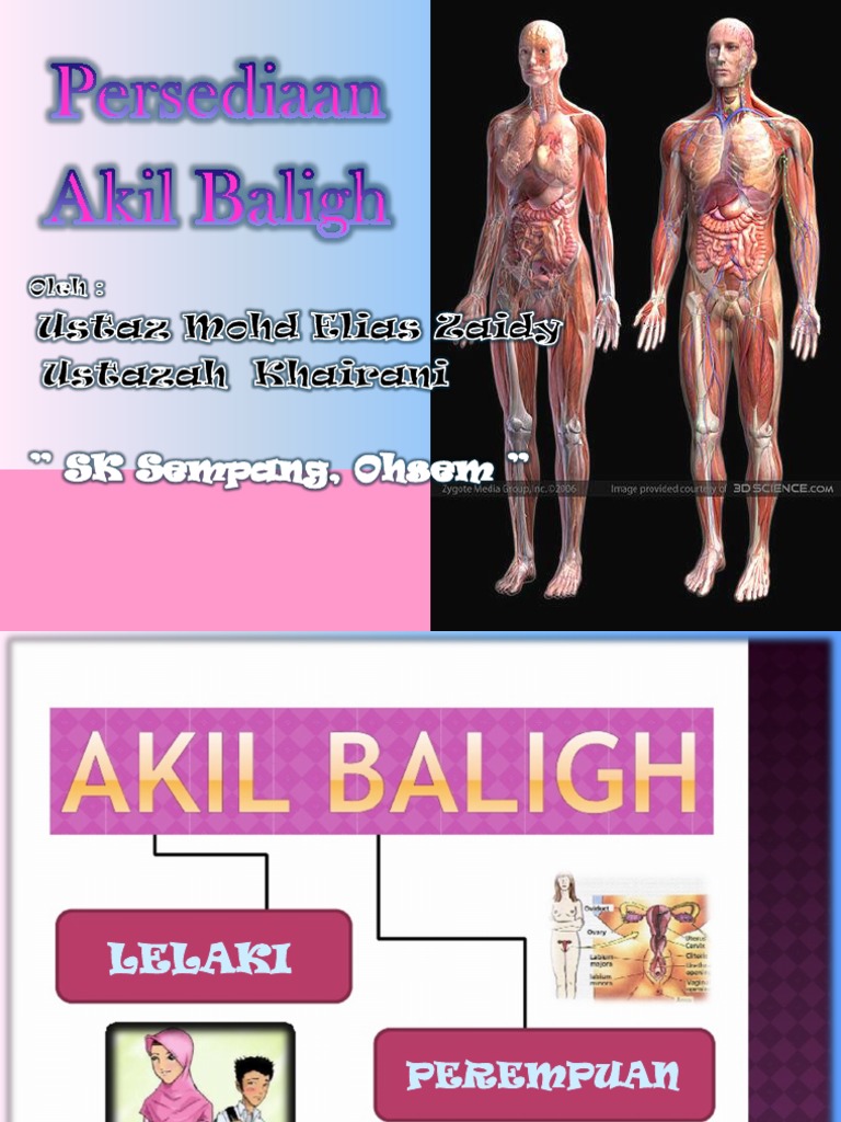 Persediaan Akil Baligh | PDF