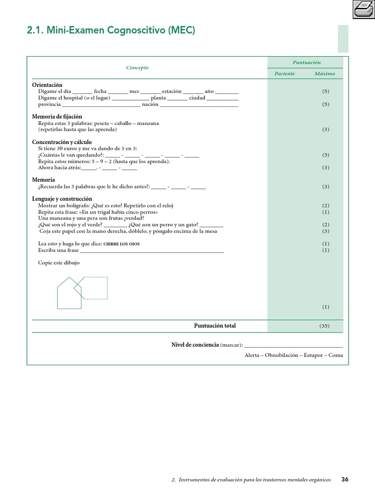 MEC (Mini-Exam Cognoscitivo) PDF | PDF
