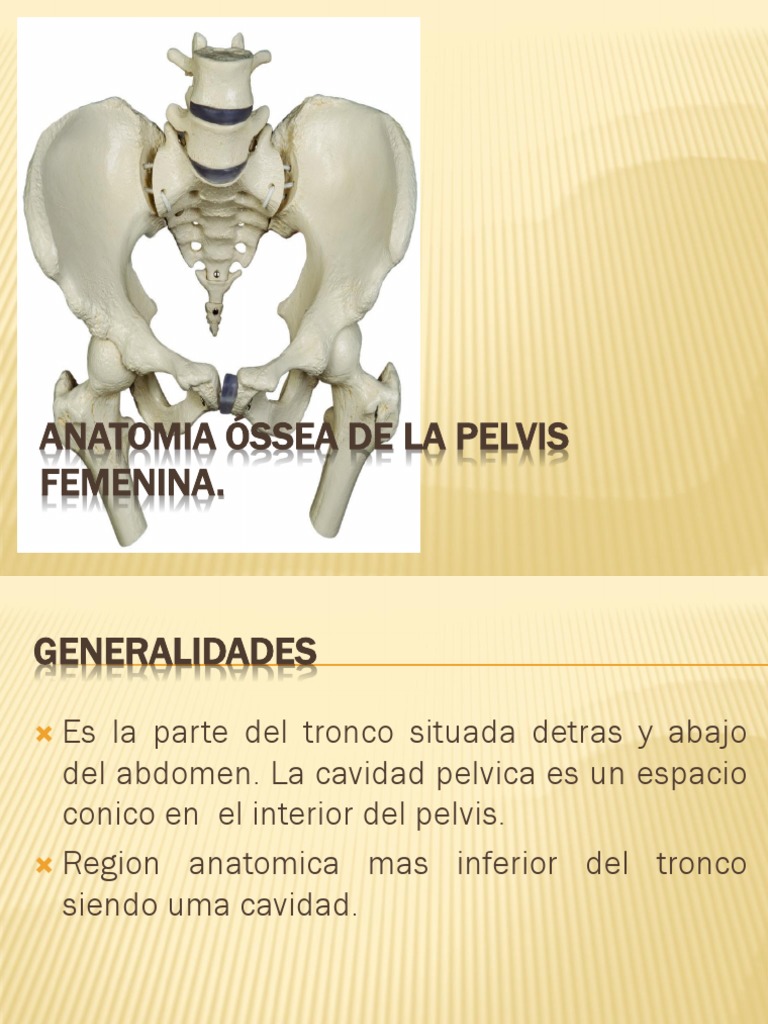 Anatomia Óssea de La Pelvis Femenina | PDF | Pelvis | Sistema ...
