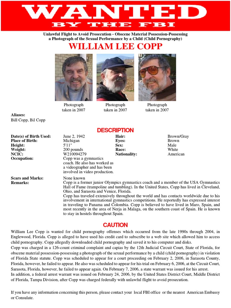 William Lee Copp | PDF | Child Pornography | Obscenity