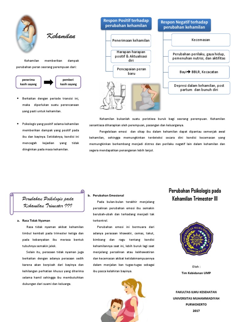 Perubahan Psikologis Ibu Hamil Trimester 3 | PDF