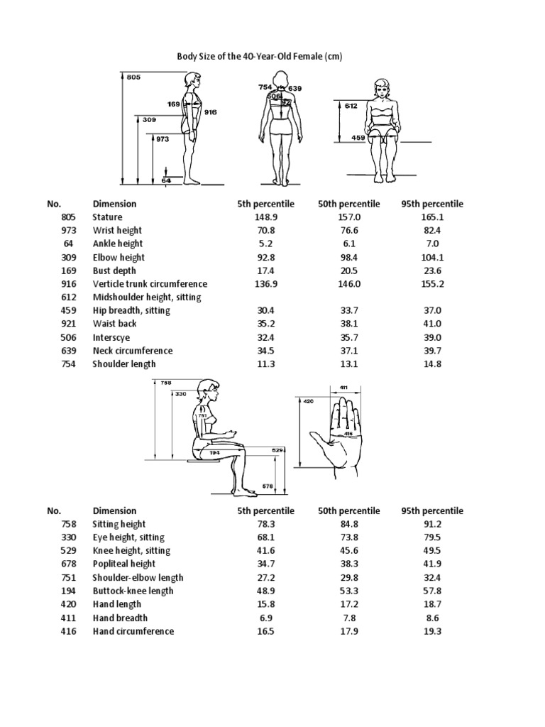 No. Dimension 5th Percentile 50th Percentile 95th Percentile | PDF ...