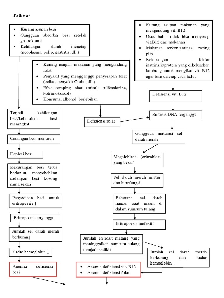 Patofisiologi Anemia Defisiensi Besi | PDF
