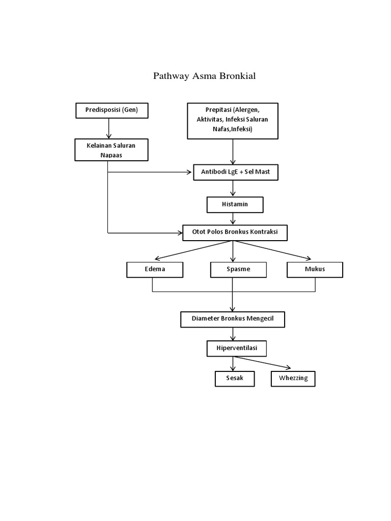 Pathway Patofisiologi Asma Bronkial | PDF