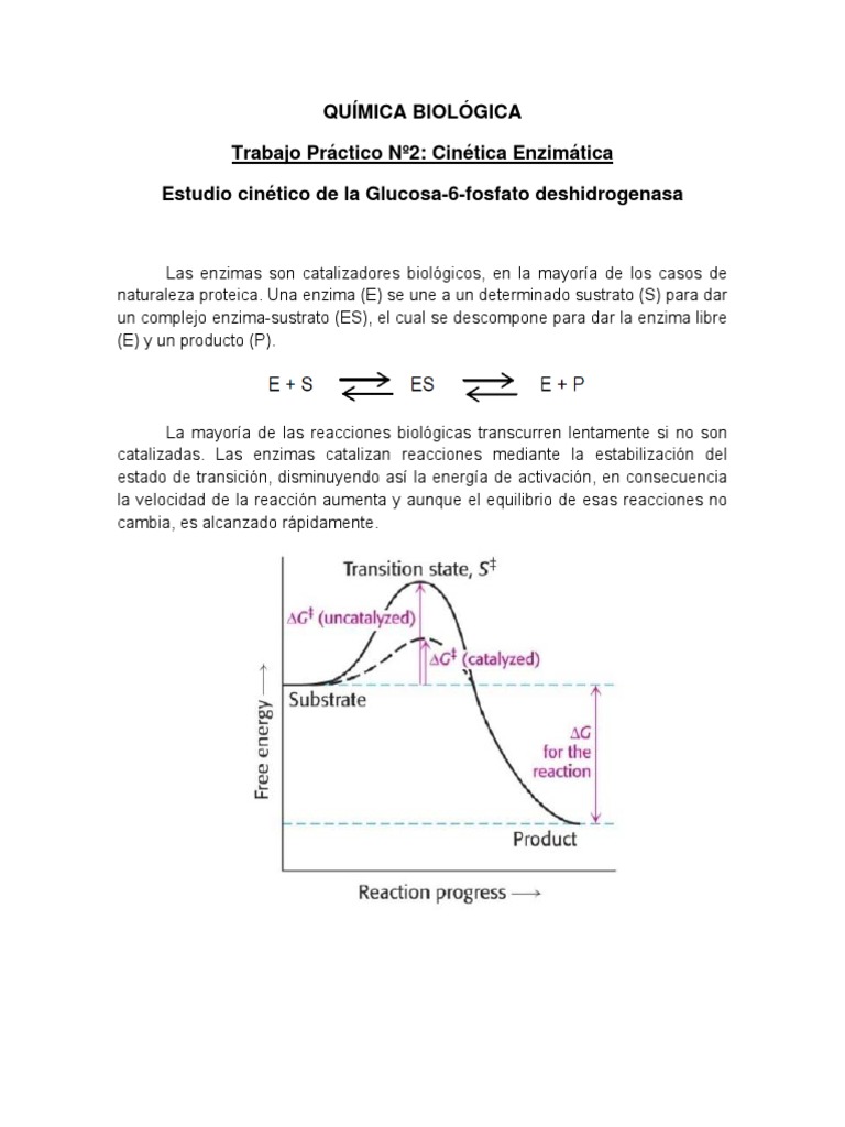 Invertasa PDF | PDF | La cinética de enzimas | Enzima