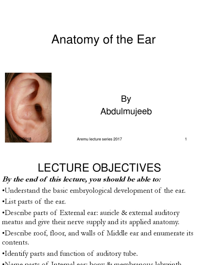 15.the Anatomy of The Ear 2017 New | PDF | Ear | Facial Features
