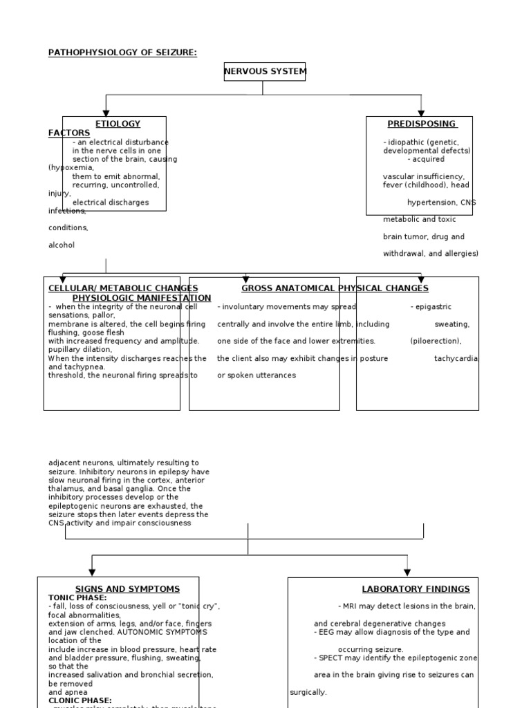 Seizure Pathophysiology | PDF | Epilepsy | Neuron