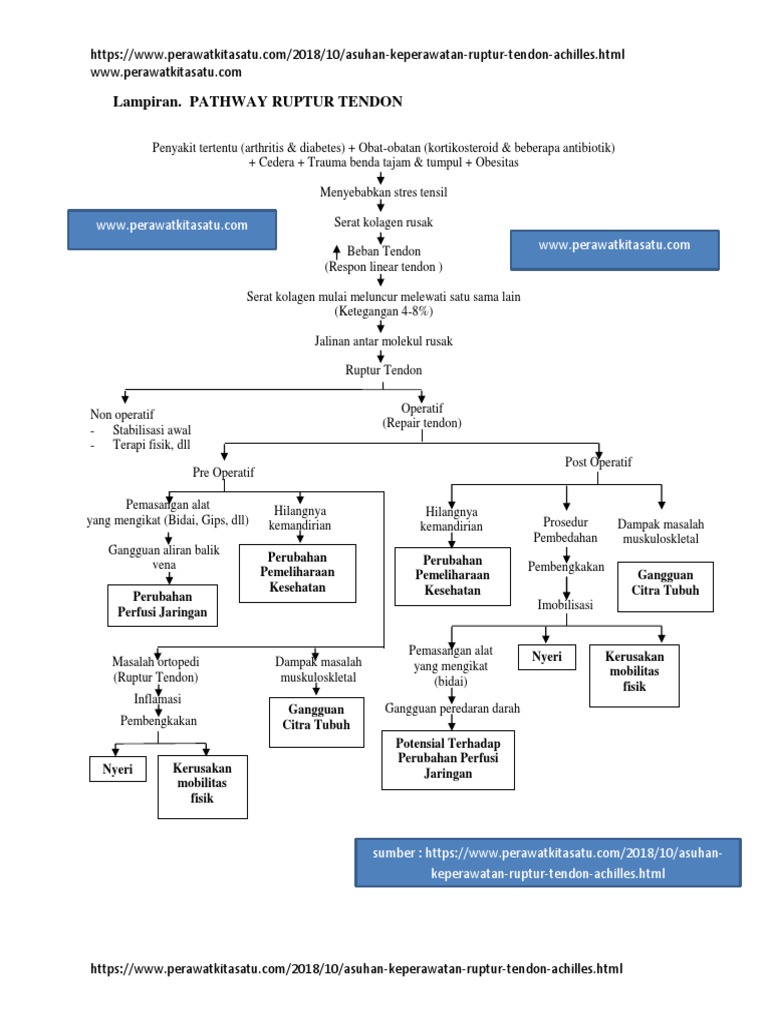 Pathway Ruptur Tendon Achilles | PDF