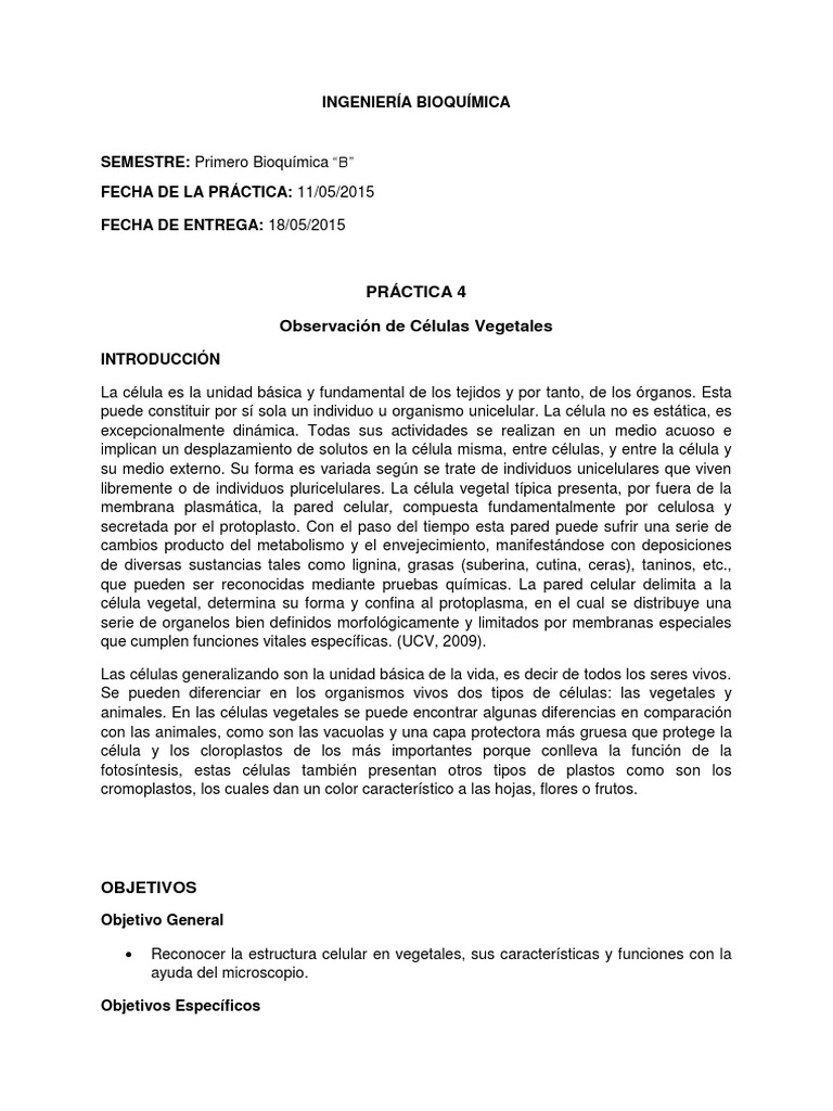 Biologia Inf4 | PDF | Biología Celular) | Plantas