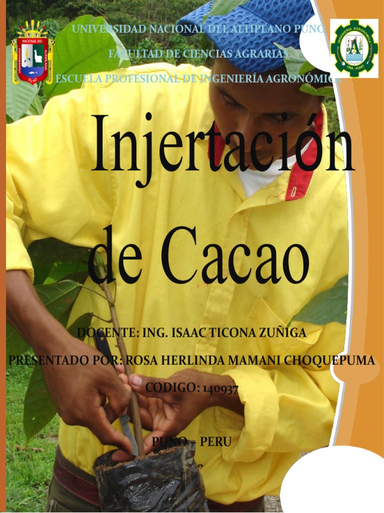 Injertacion de Cacao | PDF | Injerto | Plantas