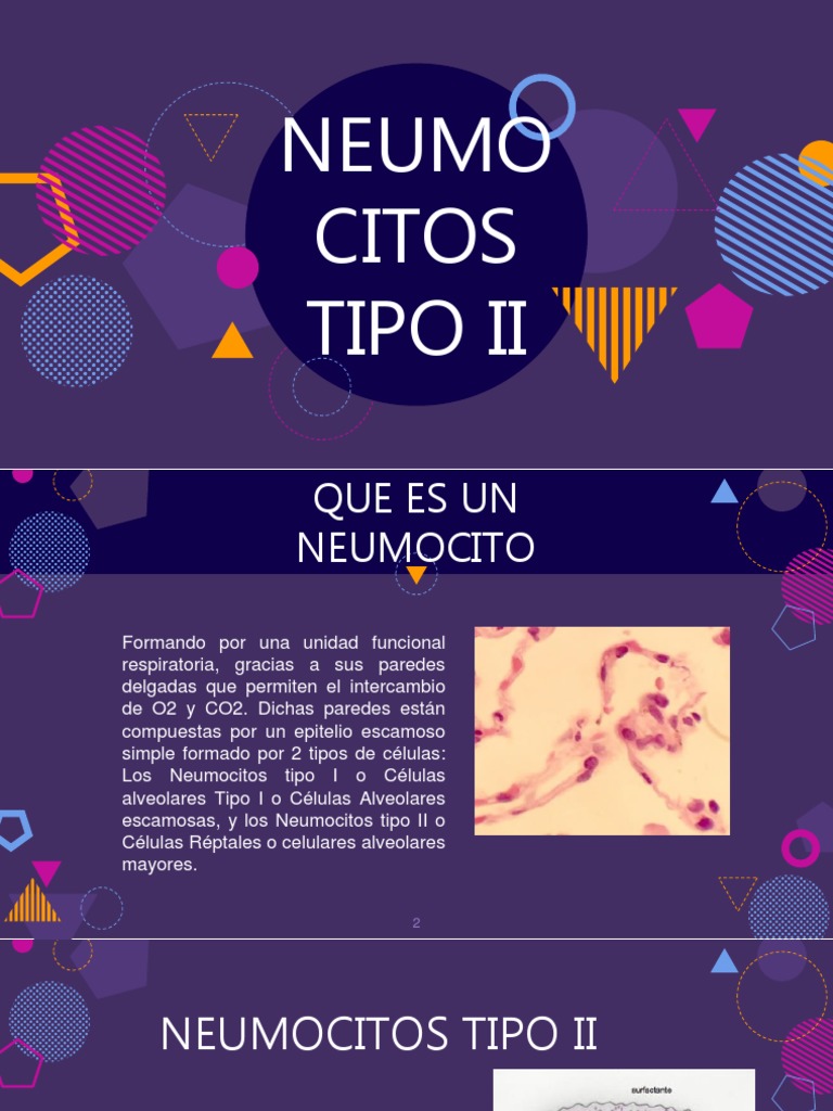 Neumocitos Tipo II | PDF | Tensioactivo | Inflamación