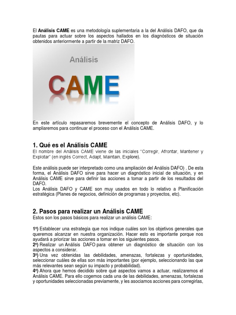 Análisis CAME: Metodología y Ejemplos | PDF | Análisis FODA | Business