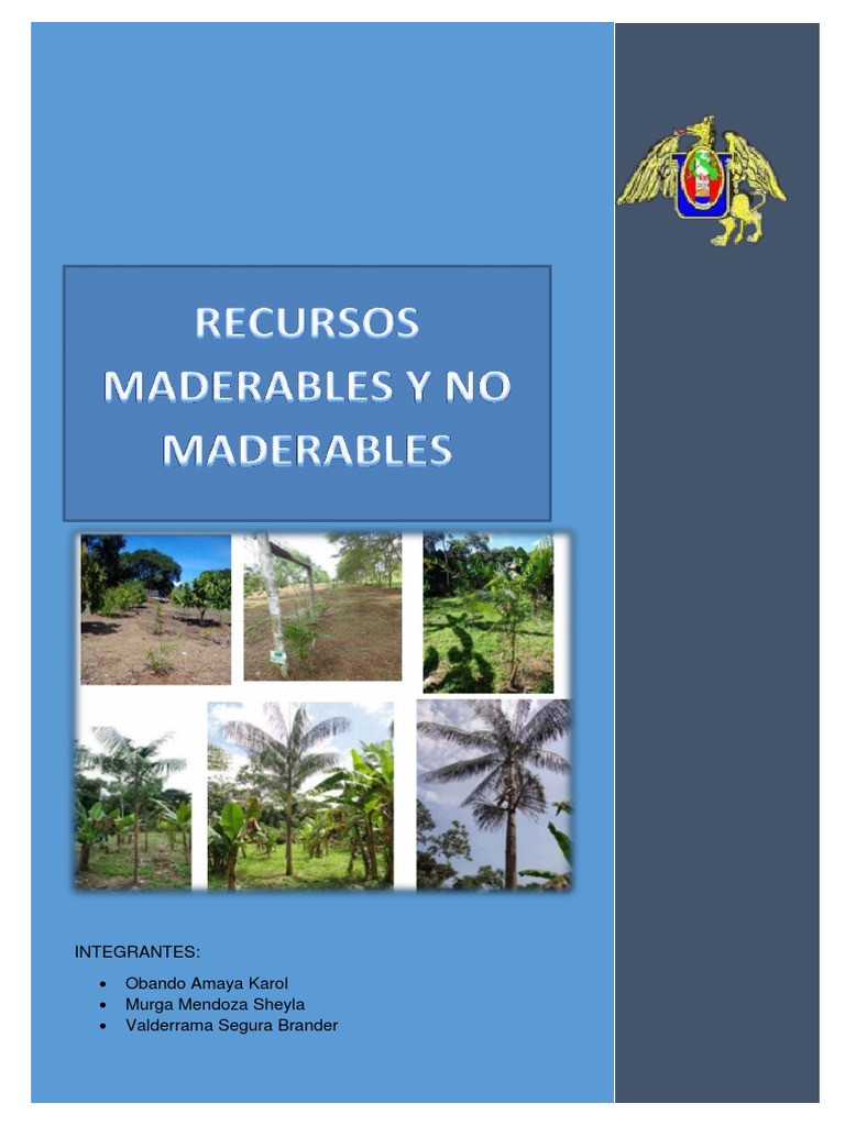 Productos Forestales Maderables | PDF | Plantas | Agricultura